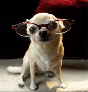 Fun Eye Glasses Designs - For Your Inspiration | Bit Rebels