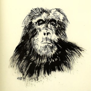 Different Pen and Ink Techniques - Photo Inspiration | Bit Rebels