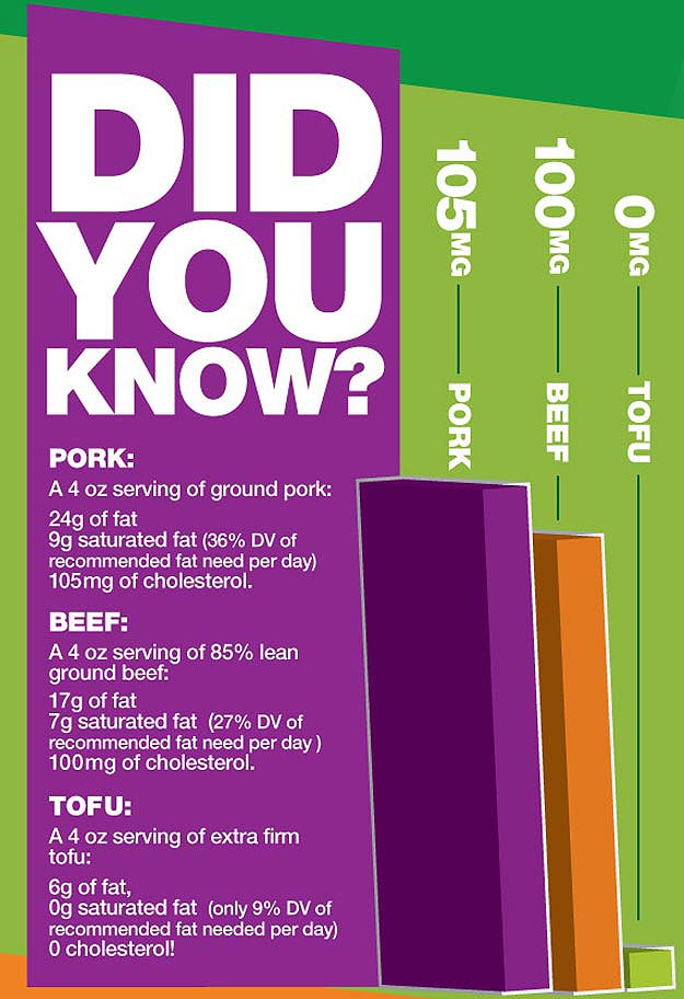 Do You Really Know What Tofu Is? [Infographic] | Bit Rebels