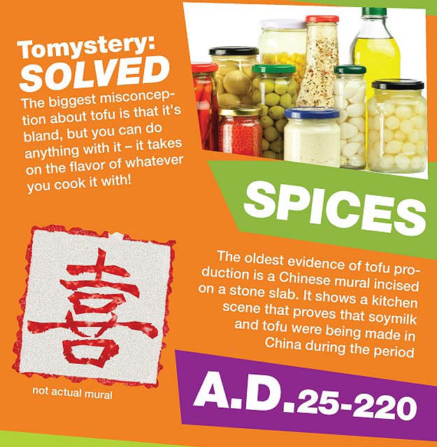 Do You Really Know What Tofu Is? [Infographic] | Bit Rebels