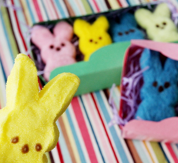 Fun Design: Fuzzy Felted Marshmallow Peeps | Bit Rebels