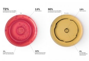 Creativity: Infographics Made with 3D Props (and People) | Bit Rebels