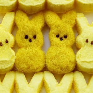 Fun Design: Fuzzy Felted Marshmallow Peeps | Bit Rebels