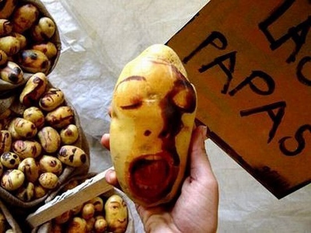 Potato Portraits: The Real Life Potato Heads | Bit Rebels