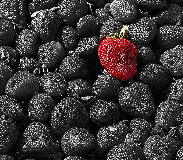 The Beauty Of Selective Color Photography [10 Pics] | Bit Rebels