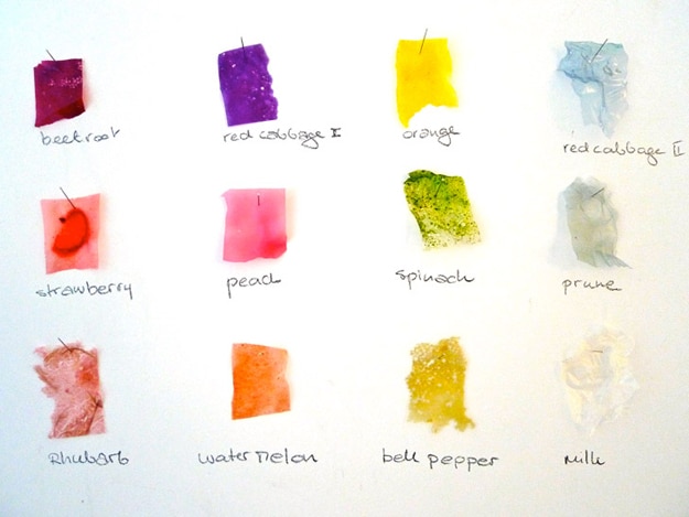 Eat Your Clothes: Edible Fabric Made From Fruits & Vegetables | Bit Rebels