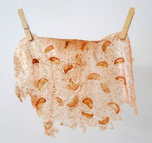 Eat Your Clothes: Edible Fabric Made From Fruits & Vegetables | Bit Rebels