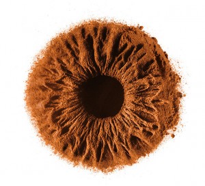 Eyes That Tell Stories: A Creative Look At Famous Eyes | Bit Rebels