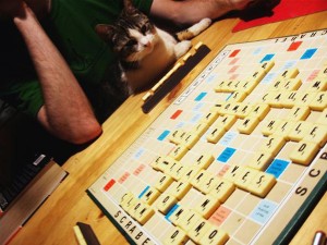 Cats That Play Scrabble [10 Pics] | Bit Rebels