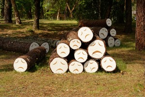 Poor Little Trees: Cut Down Forest Trees With Sad Faces | Bit Rebels