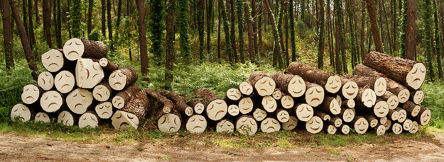 Poor Little Trees: Cut Down Forest Trees With Sad Faces | Bit Rebels