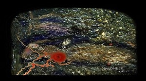 Art Created With Germs: The Beauty Of Bacteria | Bit Rebels