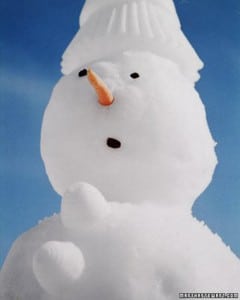 How To: Put Rosy Cheeks On Your Snowman | Bit Rebels