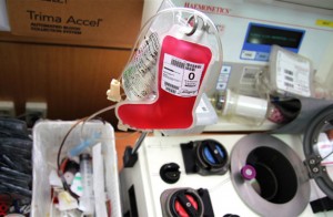 Holiday Blood Pack Design: Bring Joy Where It's Needed Most | Bit Rebels