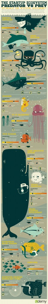 The Startup Ecosystem: Tech Roles Compared [Infographic] | Bit Rebels