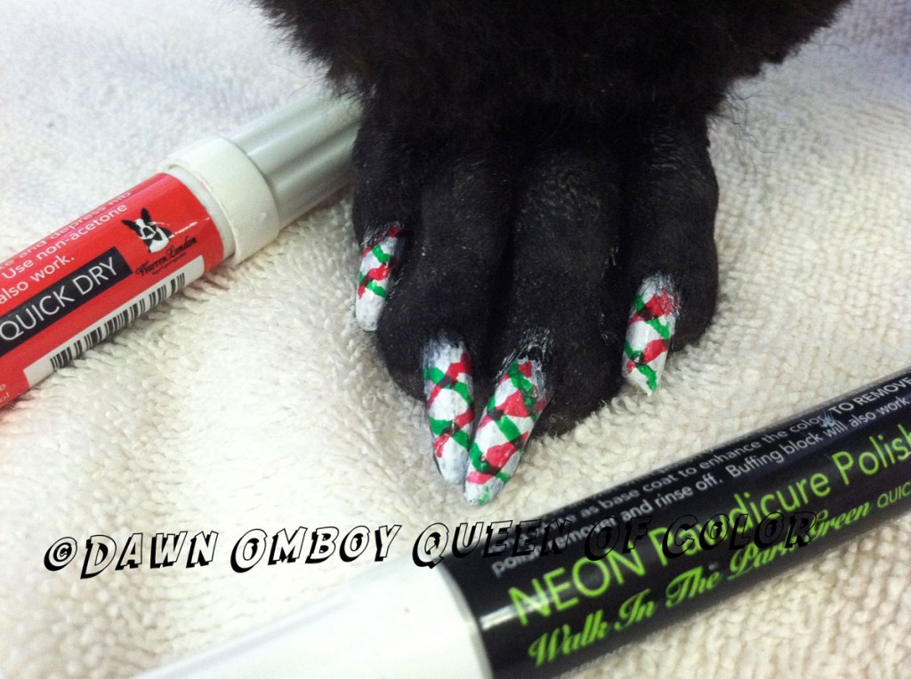 Doggie Pedicures: Transform Your Pup Into A Beauty Queen | Bit Rebels