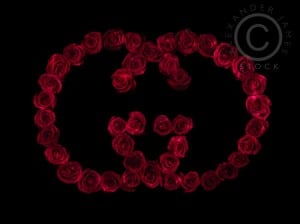 Famous Logos Redesigned With Red Roses | Bit Rebels