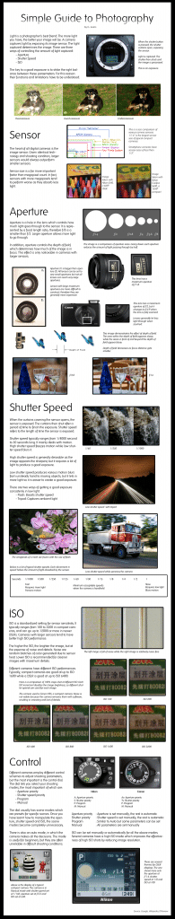 Beginner's Guide To Better Quality Photography [Infographic] | Bit Rebels