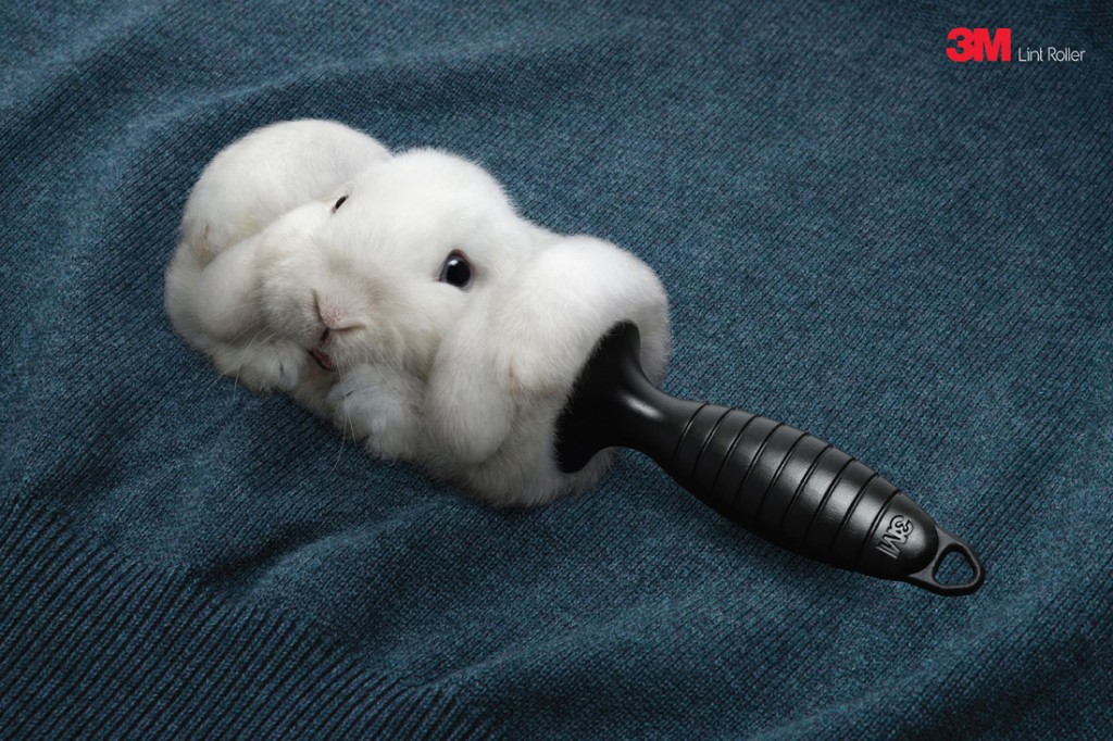 Lint Rollers Made Of Pets (Not Just Pet Hair)