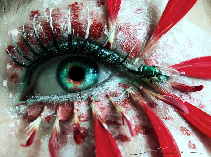 15 Extraordinary Eye Art Designs To Inspire Your Creativity
