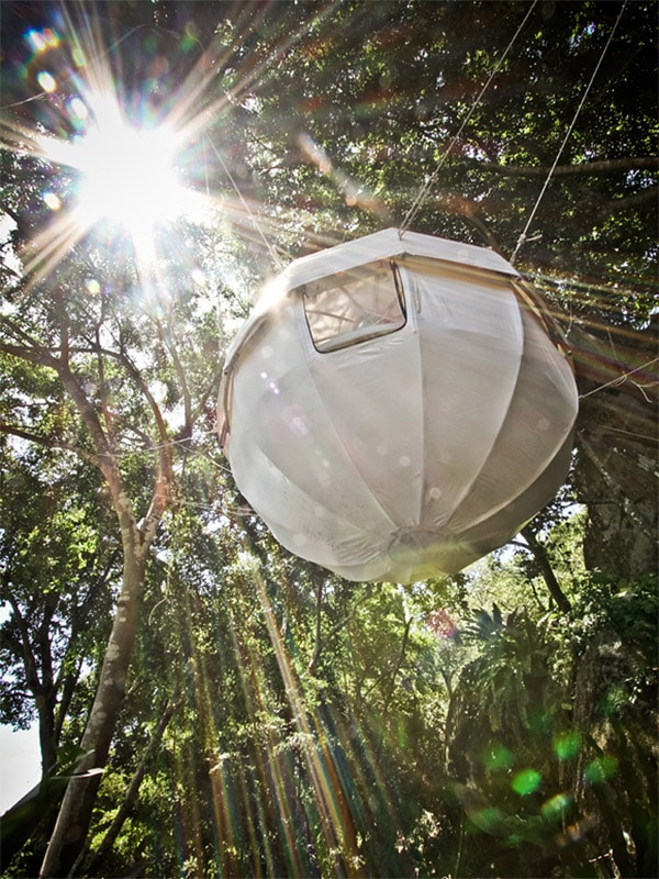 Tree Tent Takes You High & Above Your Dreams