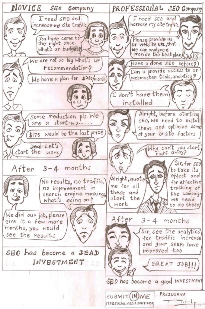 Choose Wisely: Professional vs. Novice SEO Company [Infographic]