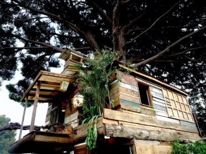 Creative Treehouse Built With Stuff Found In The Trash