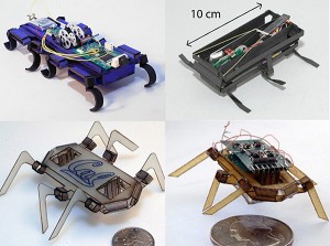 World's Fastest Cockroach Robot Was Designed To Save Lives