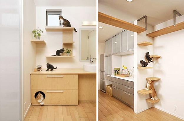 Feline Architecture: This Is Your Cat's Dream Home