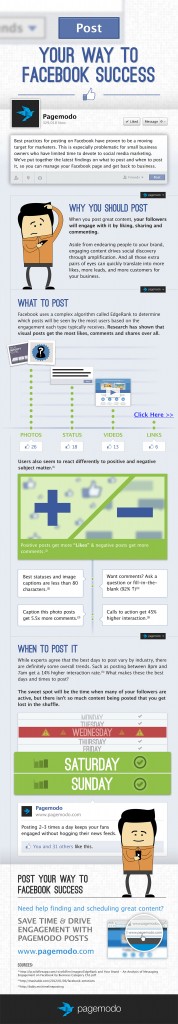 Facebook Success: The Why, What & When To Post Guide [Infographic ...