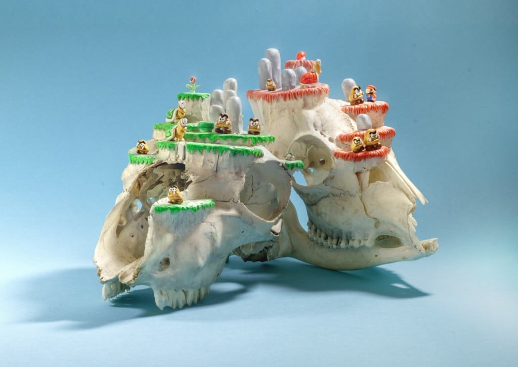 Super Mario Levels Recreated On Animal Skulls | Bit Rebels