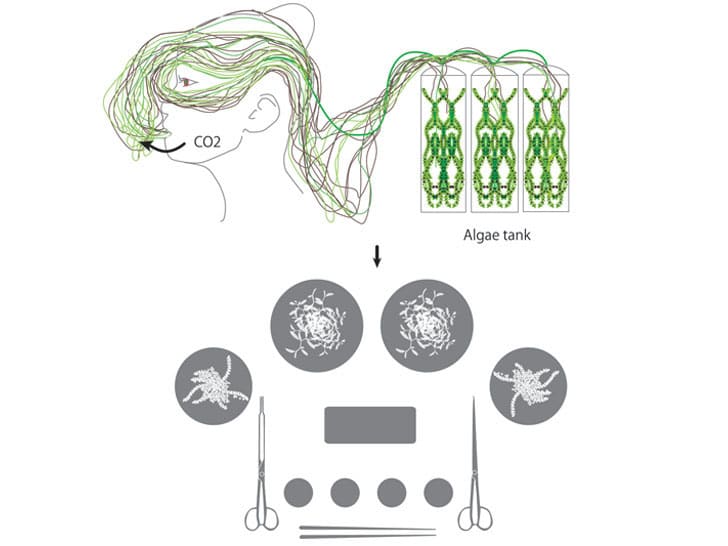 Futuristic Look At Semi-Photosynthetic Humans Growing Food With Light ...