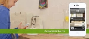 Dymotics: Smartphone Controlled Modular House Control System | Bit Rebels