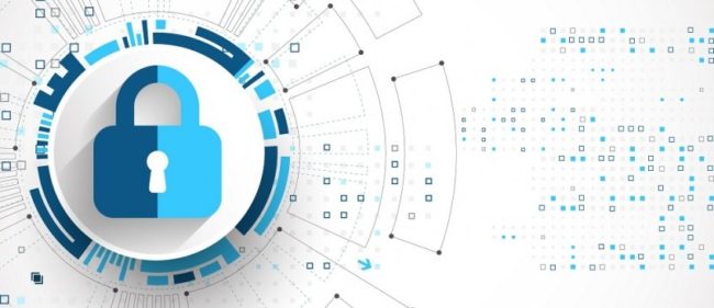 Data Protection In The Workplace | Bit Rebels