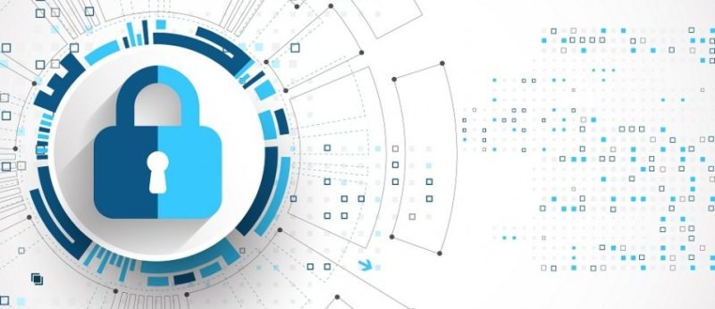 Data Protection In The Workplace | Bit Rebels