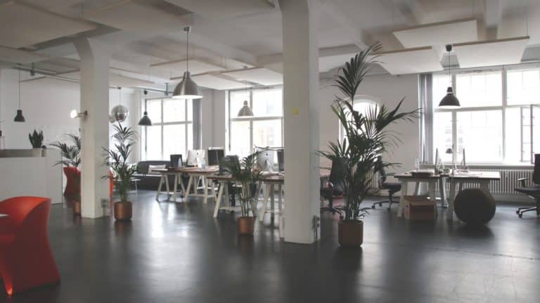 5 Tips To Freshen Up Your Office | Bit Rebels