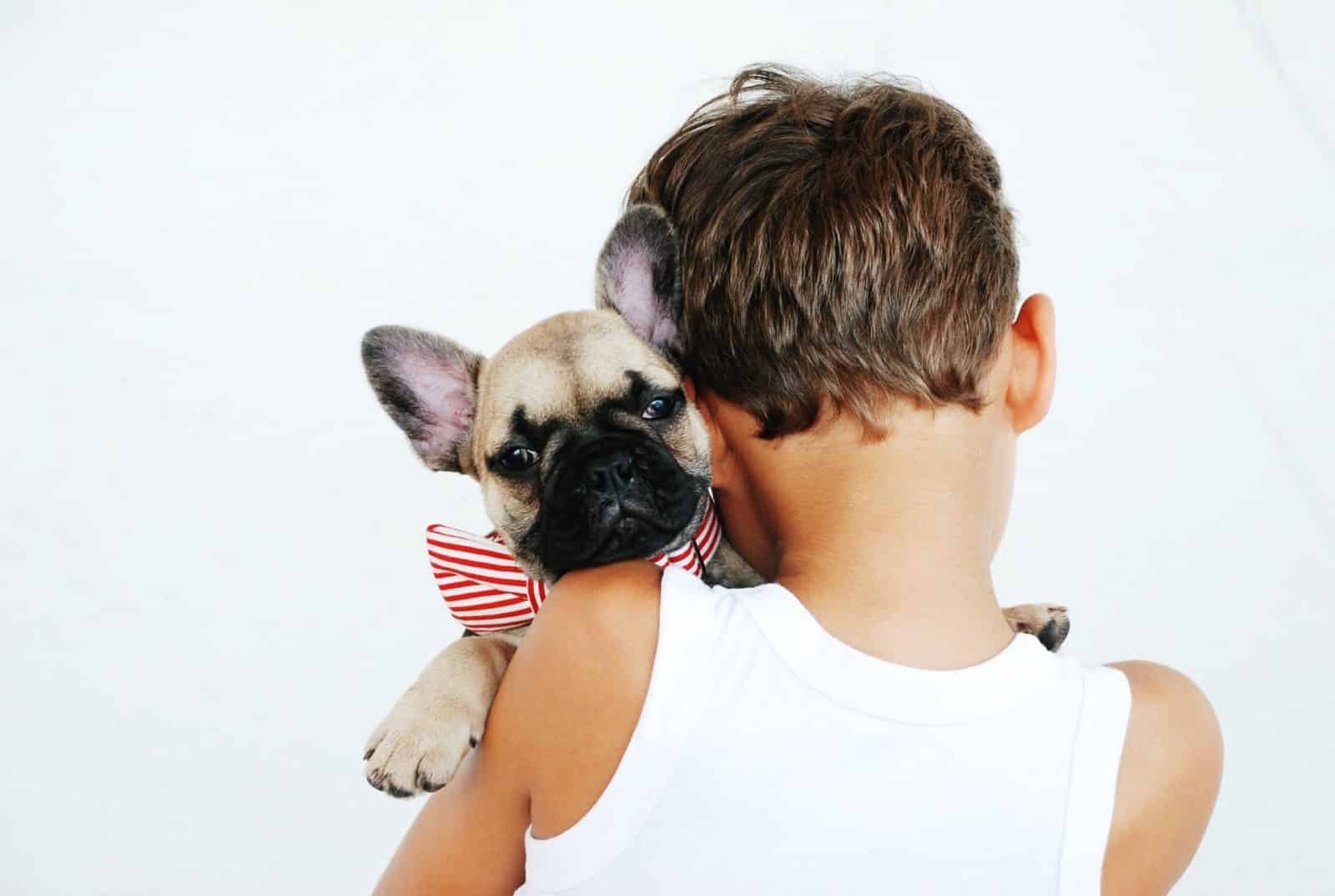 Why You Should Get A Pet | Bit Rebels
