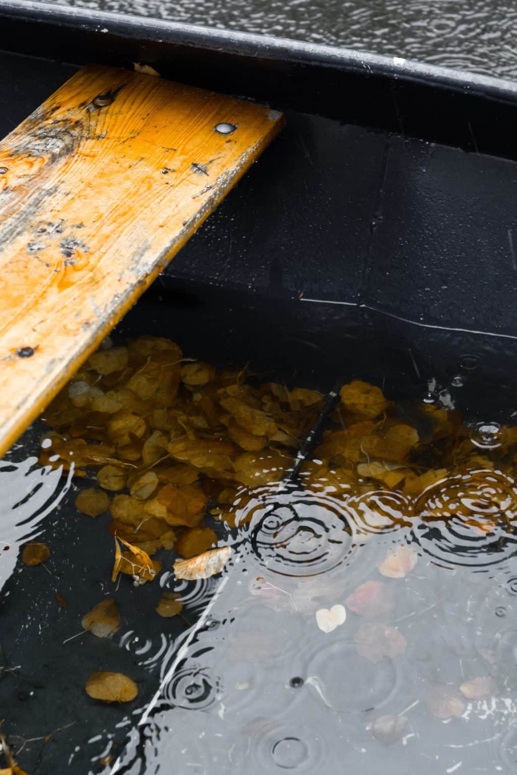 Understanding Water Damage | Bit Rebels