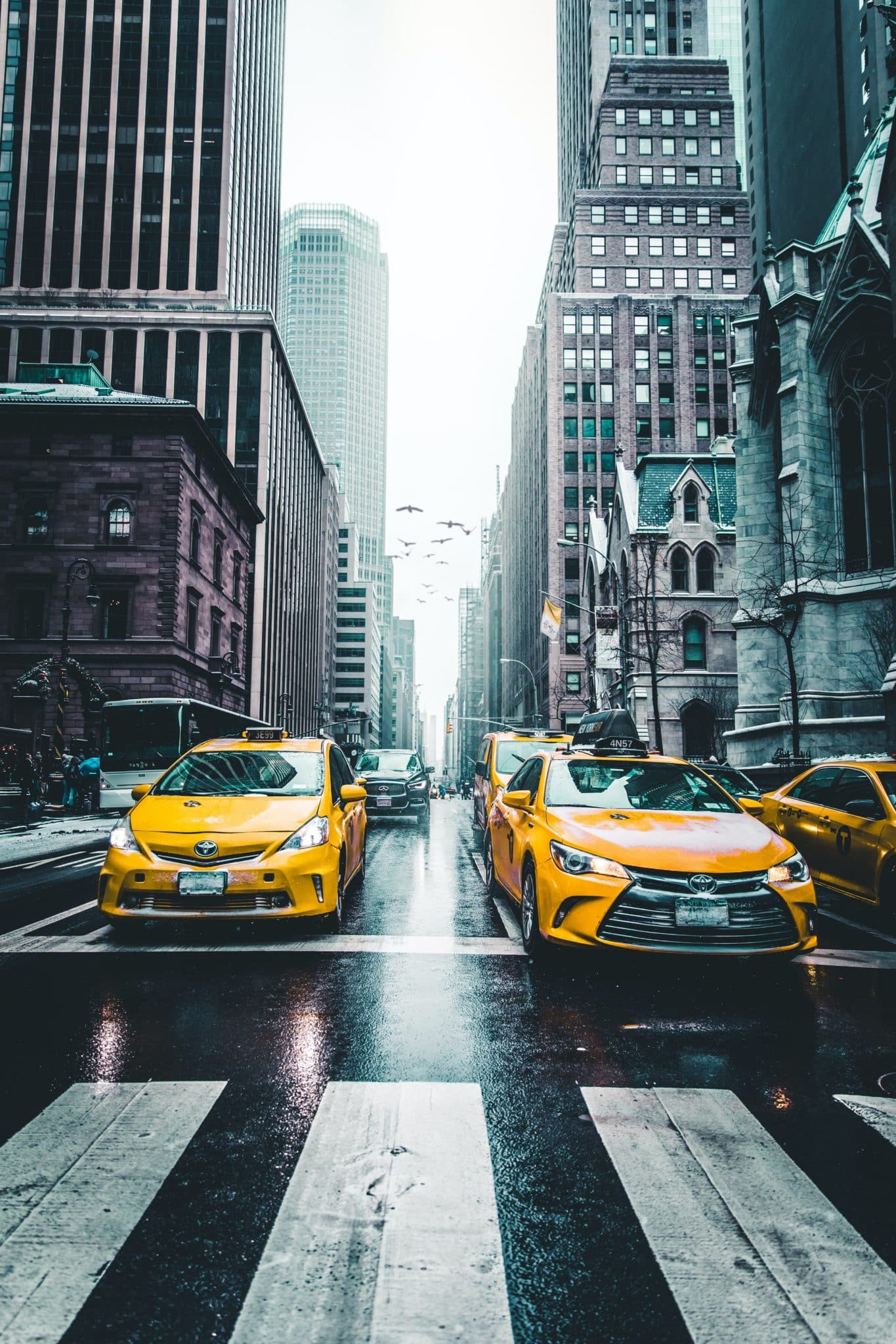 Benefits Of Using Taxi Services Over Public Transport | Bit Rebels