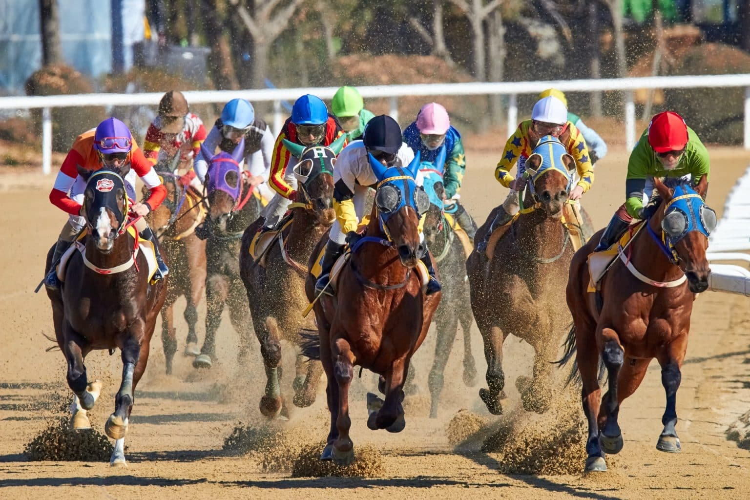 Knowing History - Tracing Back Kentucky Derby Through The Years | Bit ...