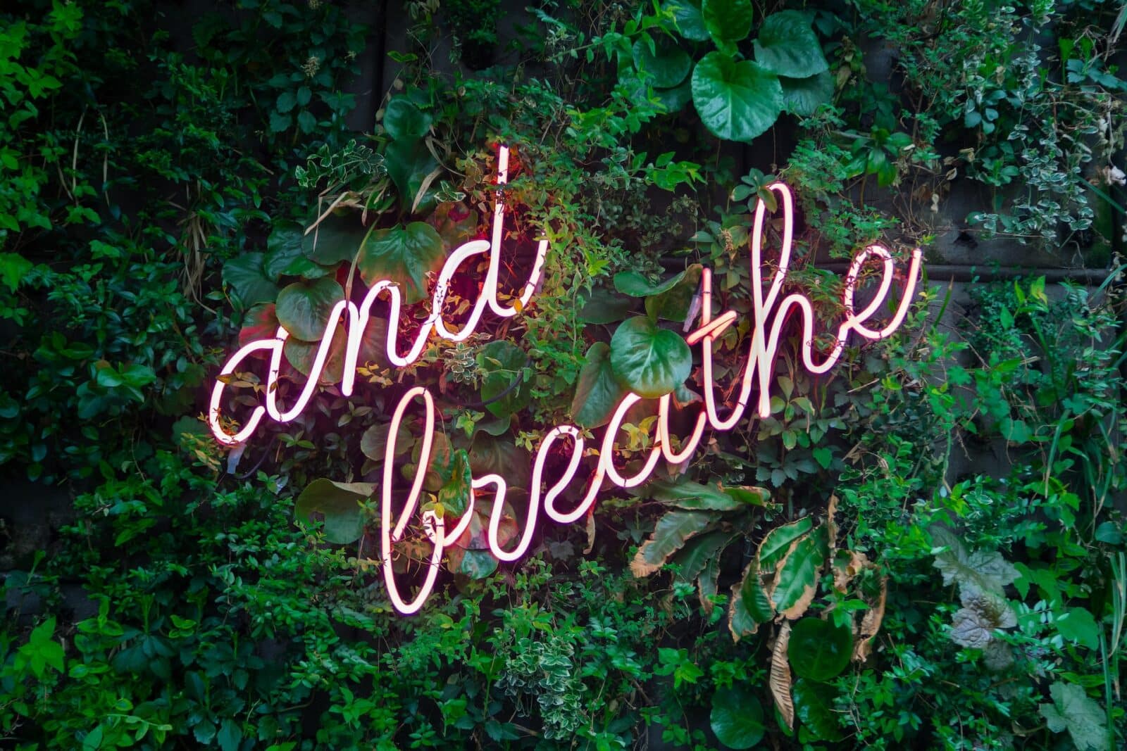 The Effects Of Breathing Polluted Air | Bit Rebels
